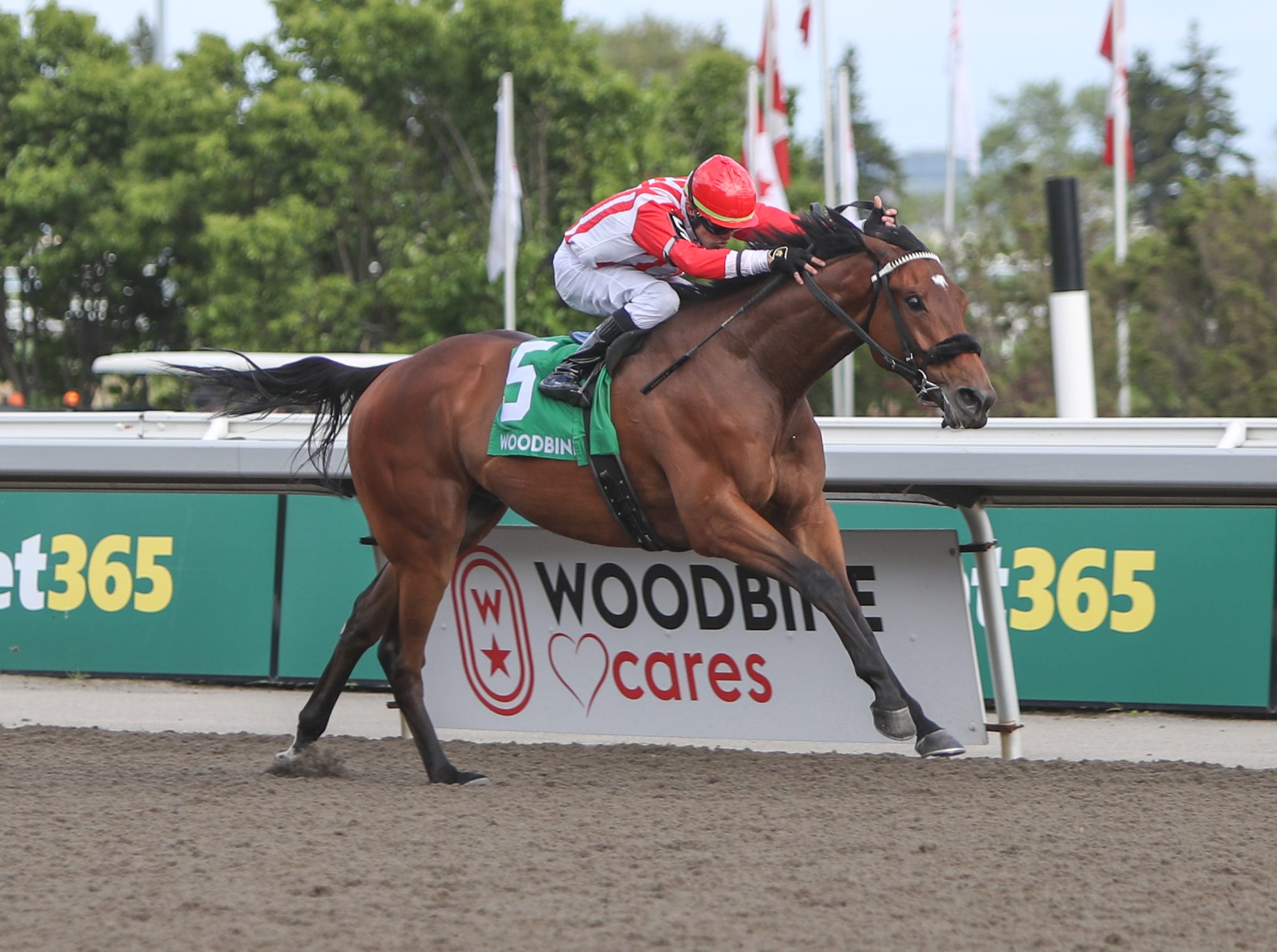 Classic Mo Town takes Eclipse, Ms. Tart surprises in Royal North